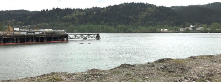Portland Harbor Superfund Site Remediation